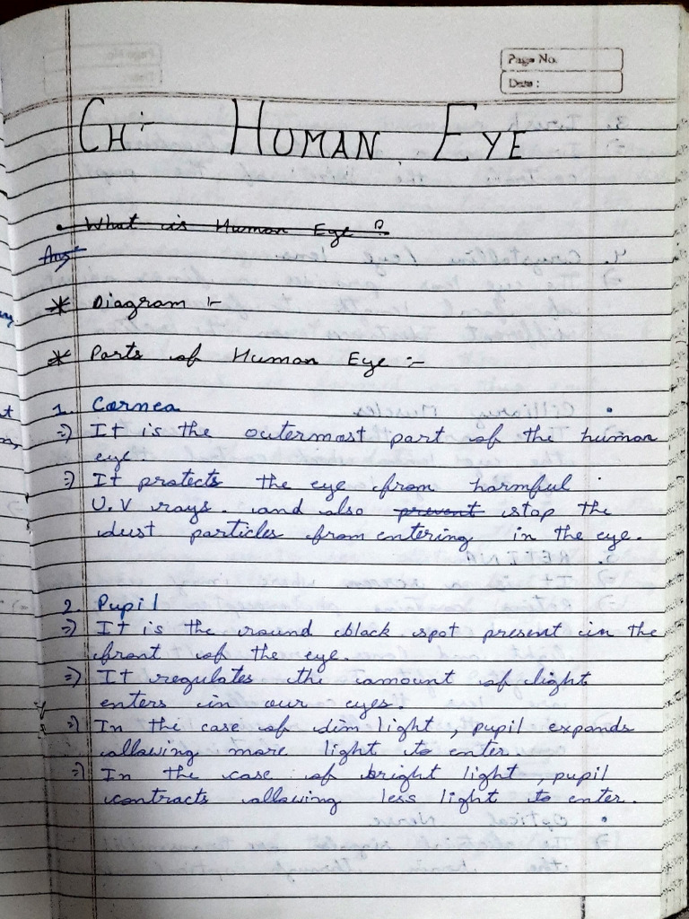 Class 10 Handwritten Notes Human Eye | PDF