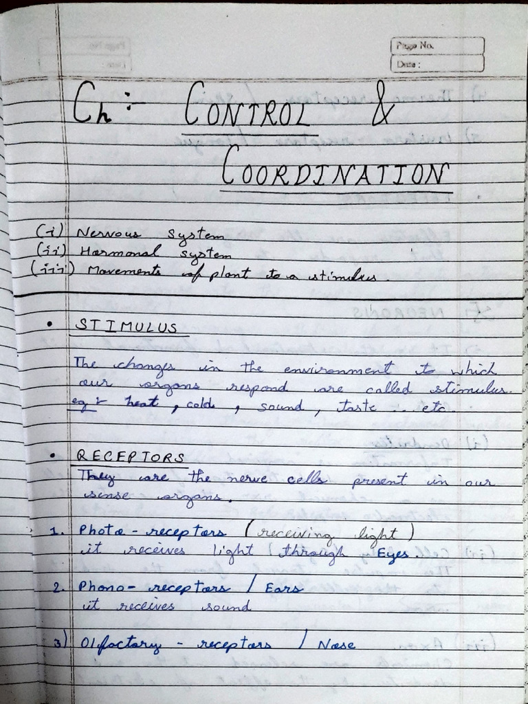 Class 10 Handwritten Notes Control &coordination | PDF