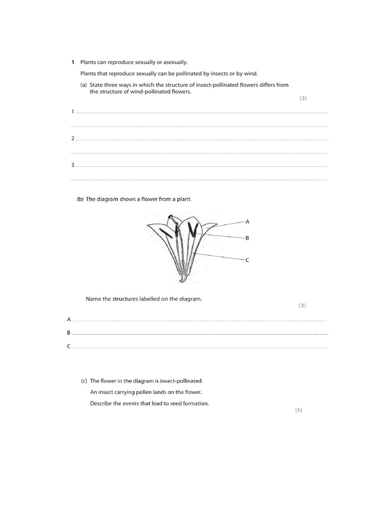 Plant Reproduction | PDF