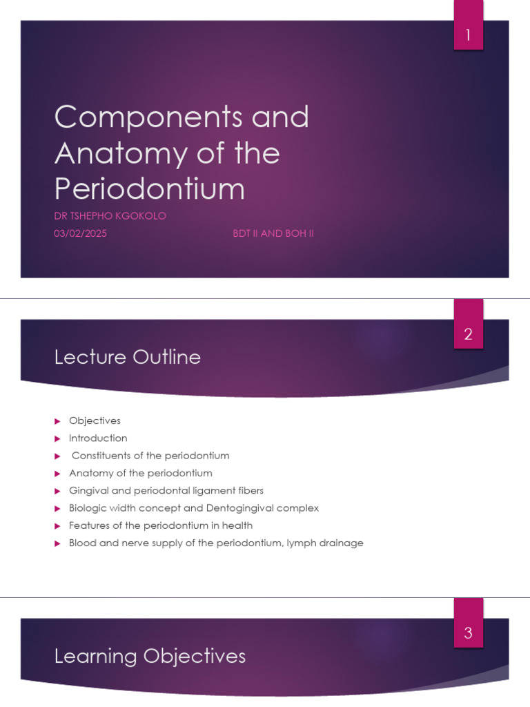 Components and Anatomy of the Periodontium BOH & BDT 2 | PDF ...