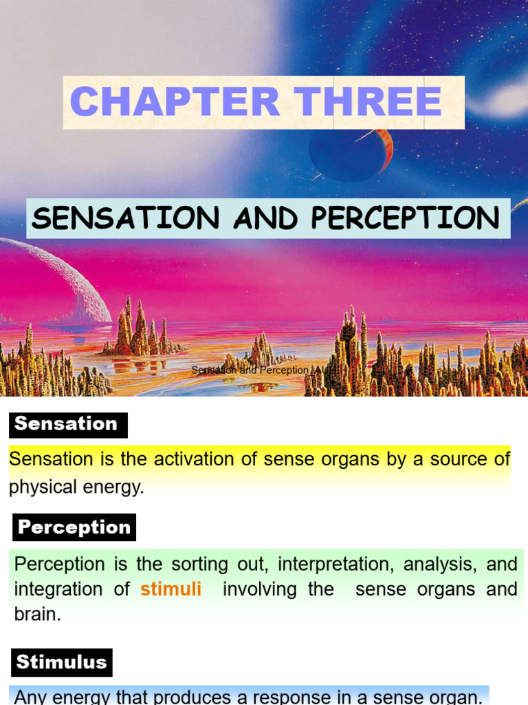 Sensation and Perception Overview | PDF | Senses | Perception