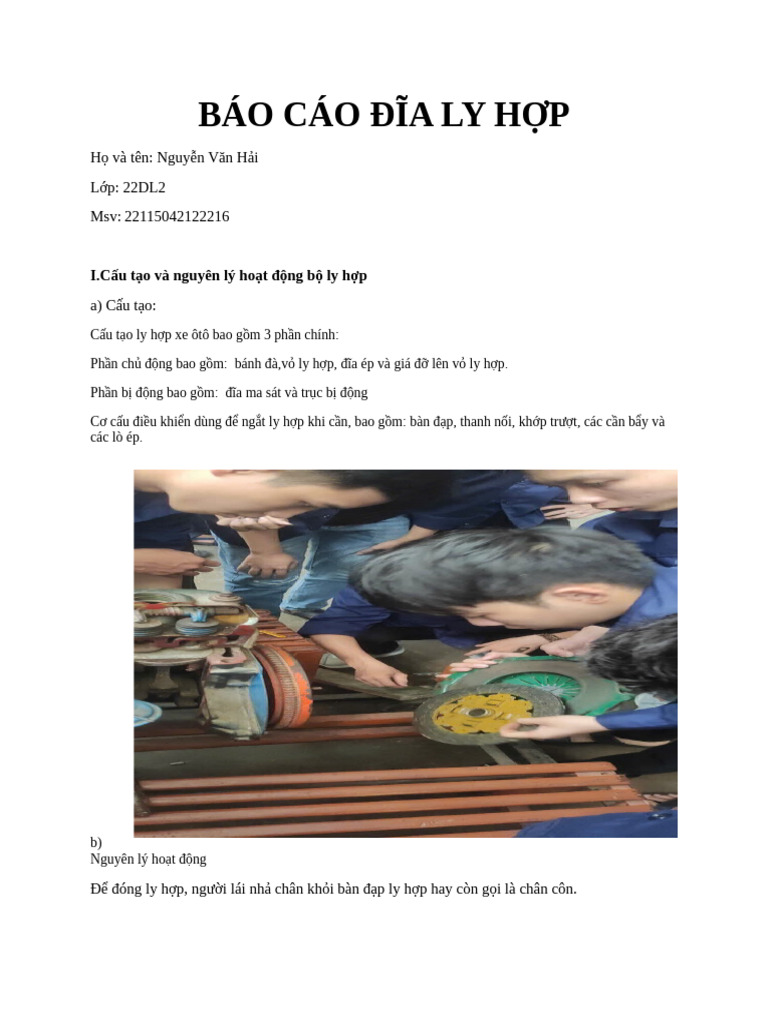 Báo Cáo Đĩa Ly H P | PDF