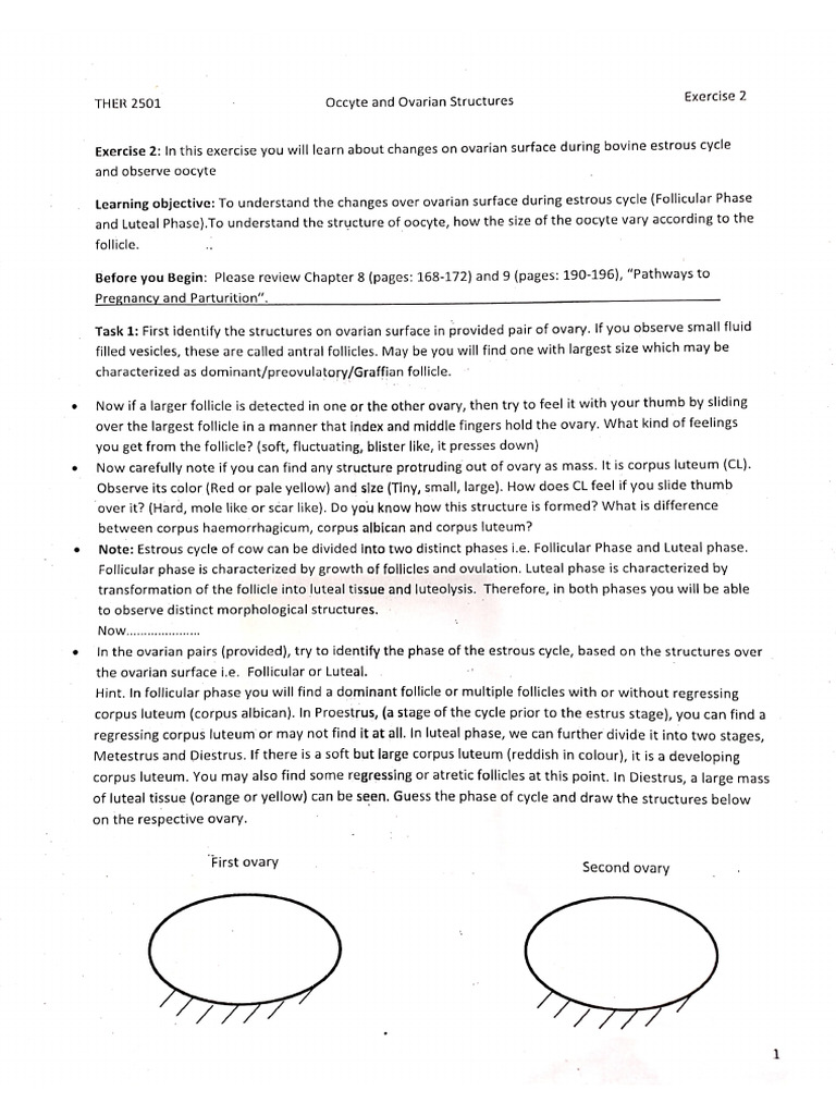 Therio Week 2 | PDF