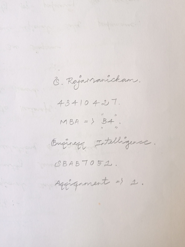 Business Intelligence Assignment | PDF