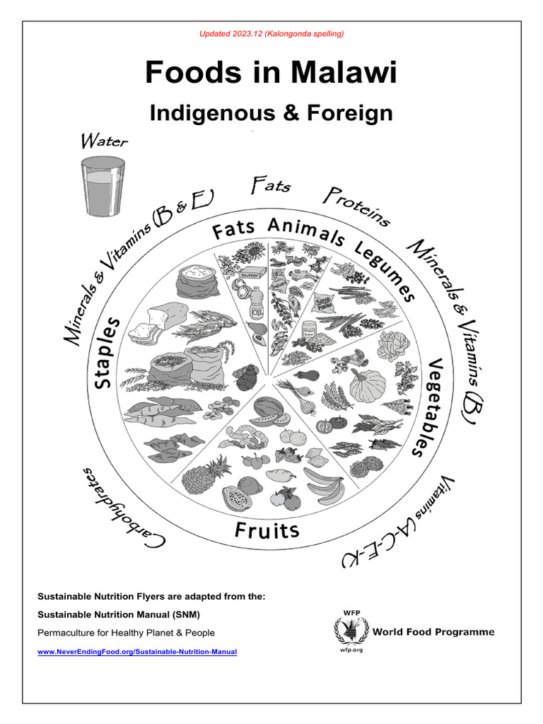 Malawi Food Groups and Menu Planning | PDF | Staple Foods | Foods