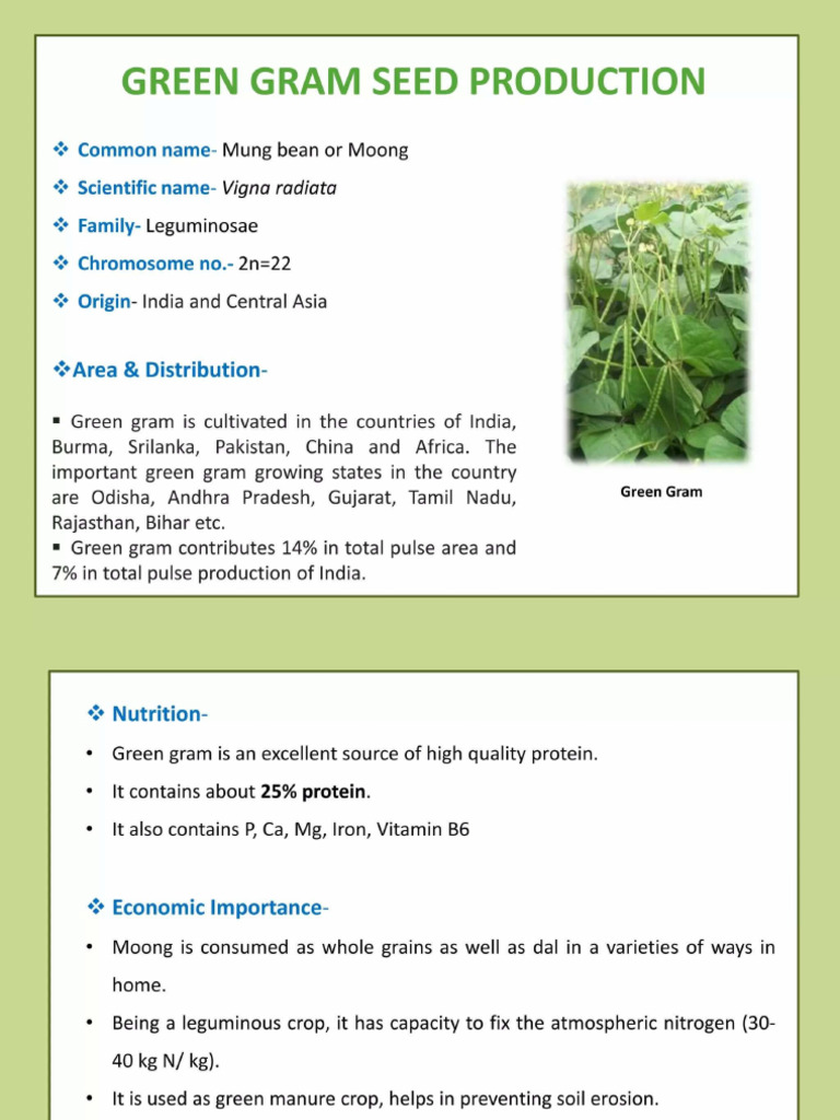 Green Gram | PDF