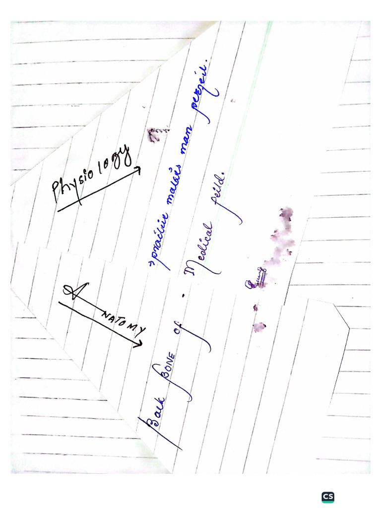 Physio + Ana Notes | PDF