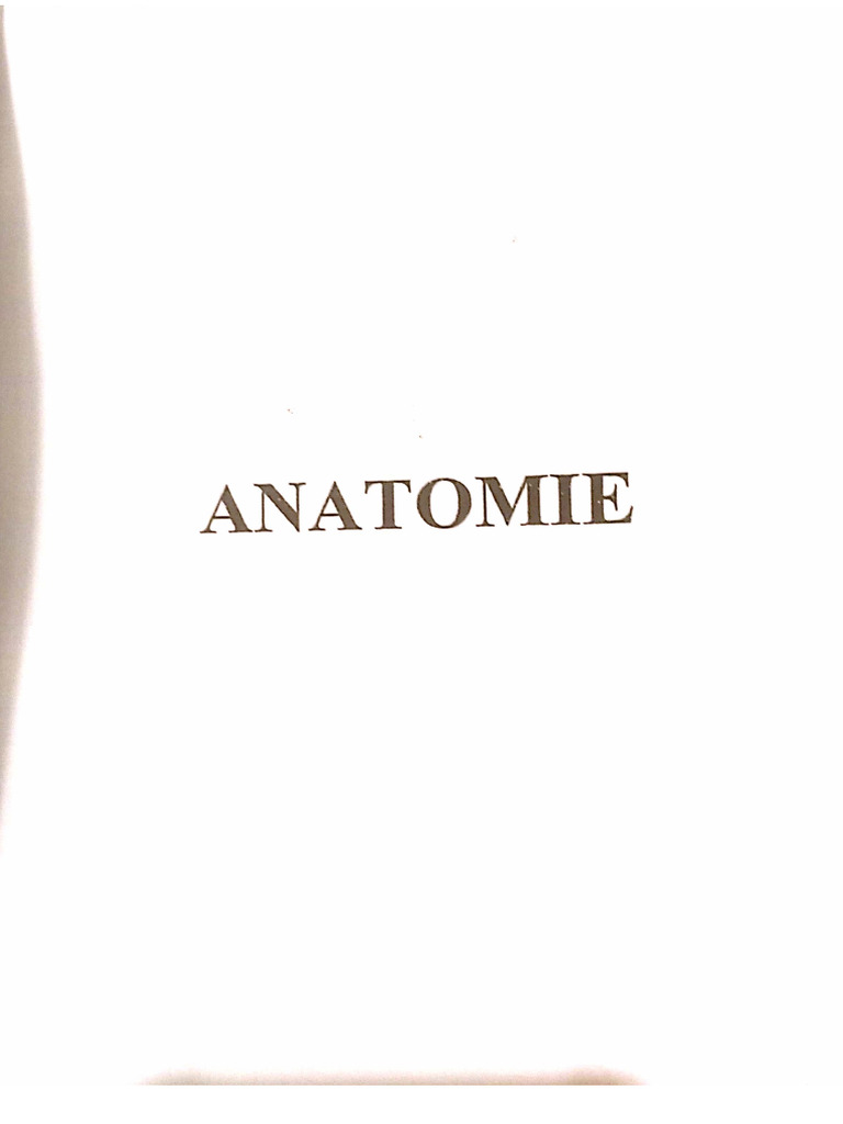 Anato | PDF