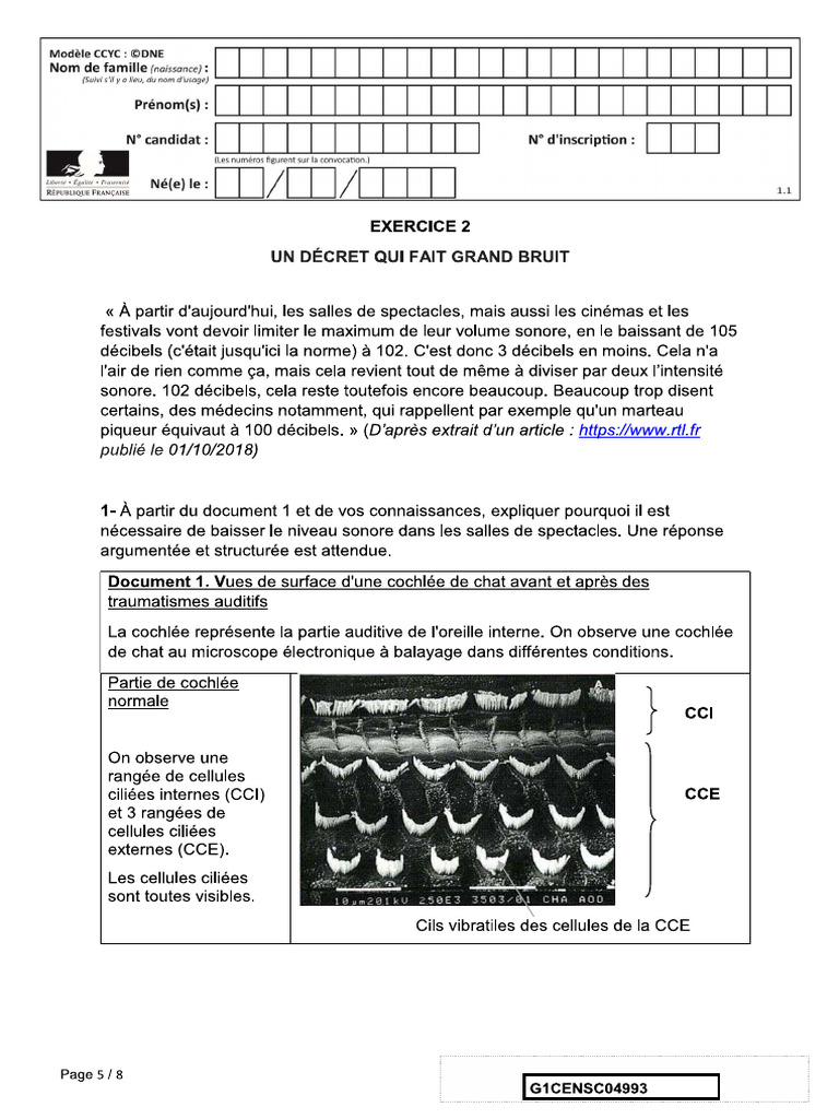 Sujet Sur Le Bruit Enseignement Scientifique | PDF