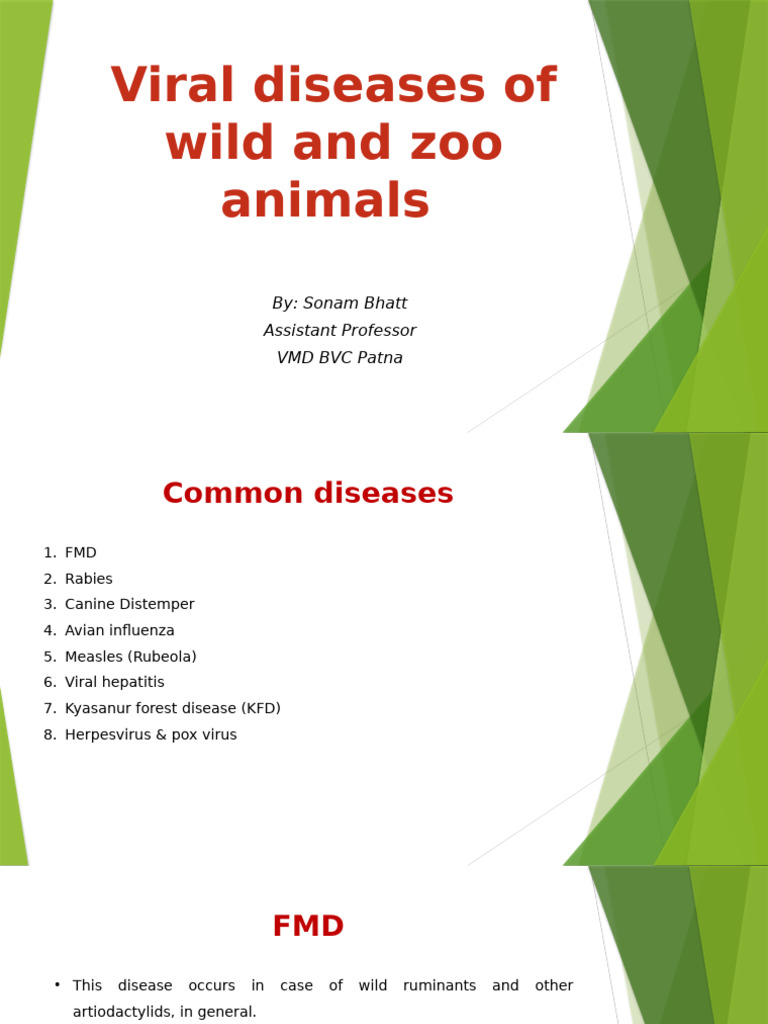 Viral Diseases in Wild and Zoo Animals | PDF | Rabies | Infection