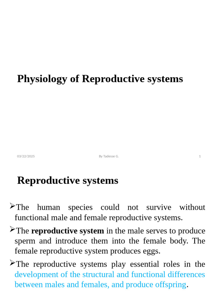 Physiology of Reproduction System | PDF | Menstrual Cycle | Testicle