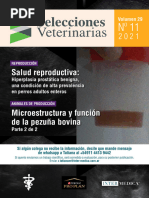 Anatomía y enfermedades del pene canino | PDF | Pene | Urología