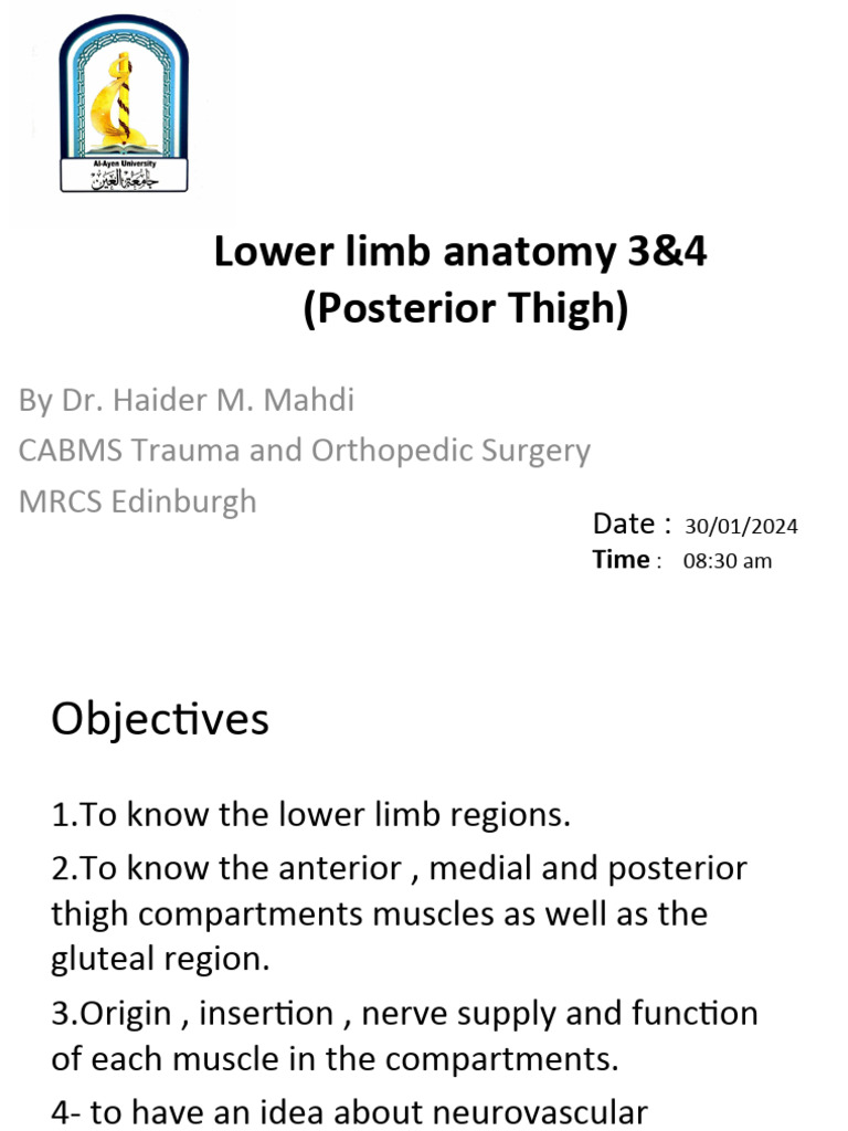 12. gluteal region and post thigh | PDF | Human Leg | Musculoskeletal ...