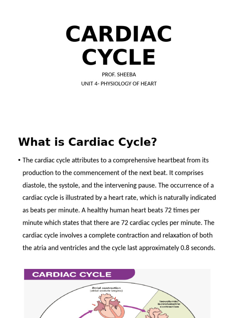 Cardiac Cycle | PDF