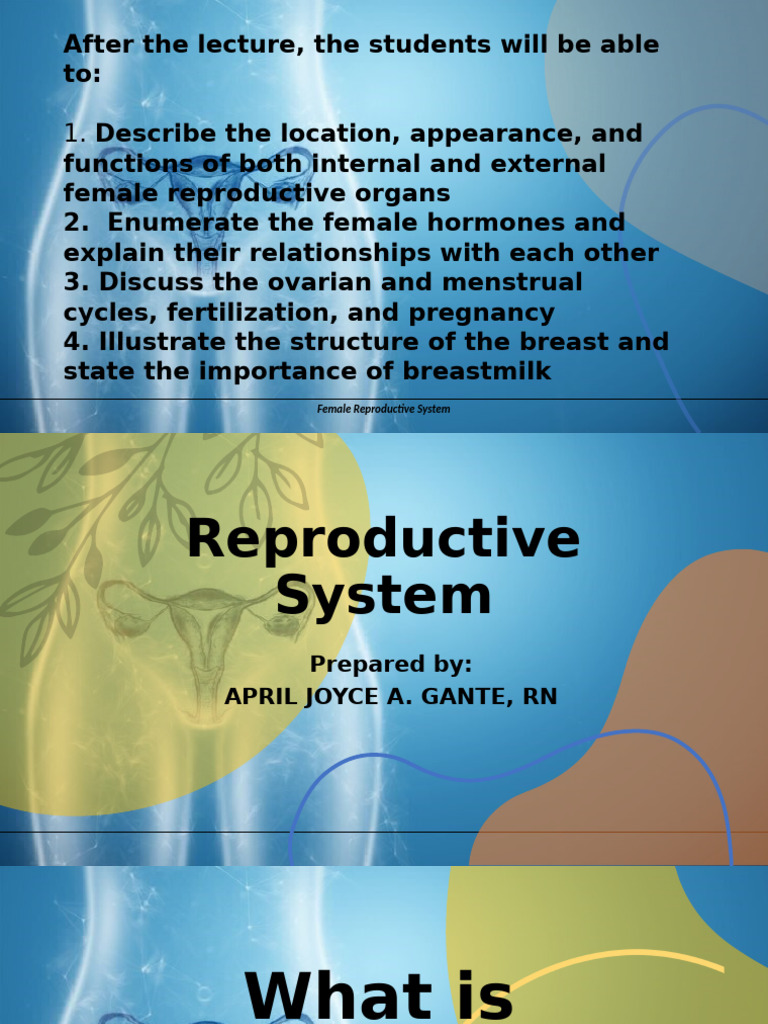 Topic 1 Female Reproductive System | PDF | Menstrual Cycle | Ovary