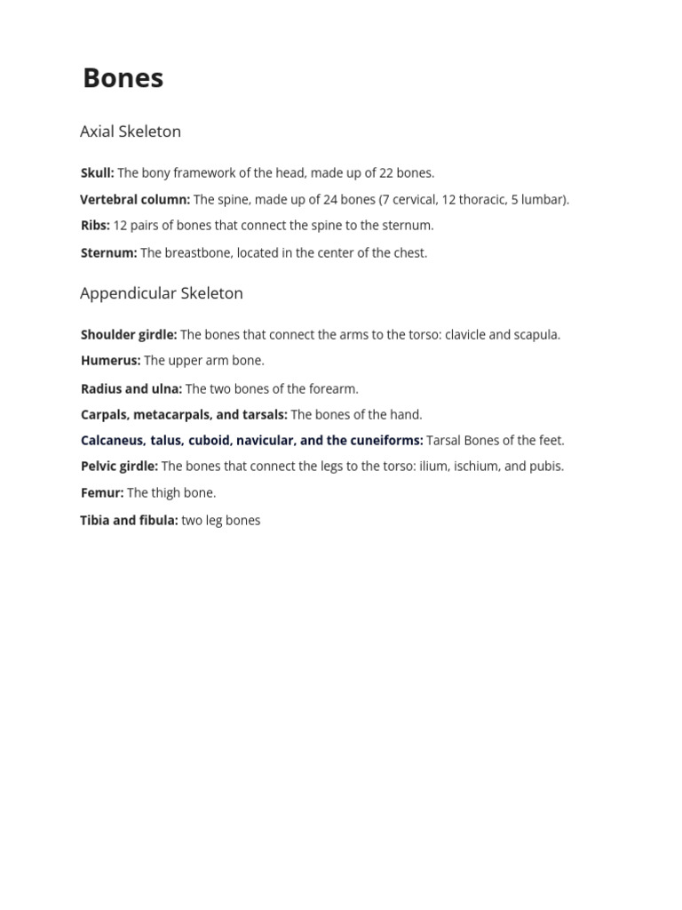 Basic Anatomy Review Bones and Joints | PDF