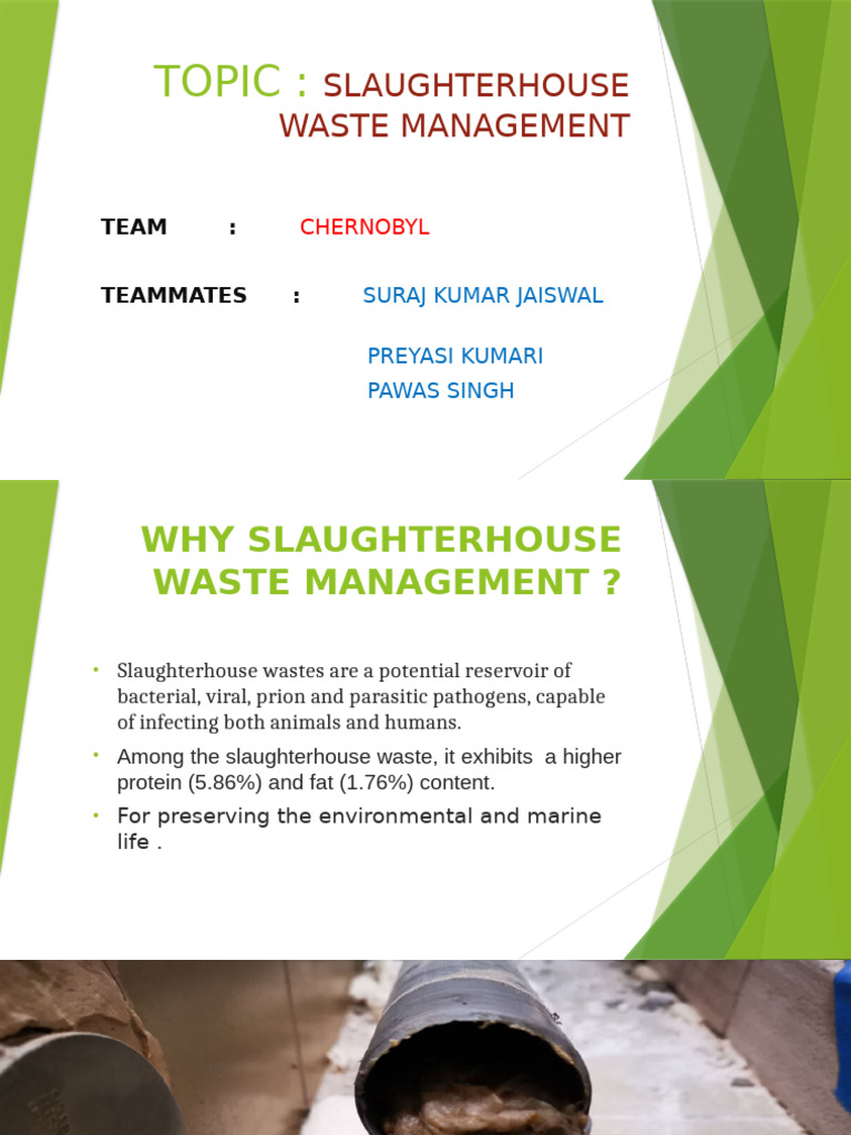 Slaughterhouse Waste Management Main | PDF | Waste Management | Waste