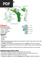 Chara | PDF | Algae | Biology