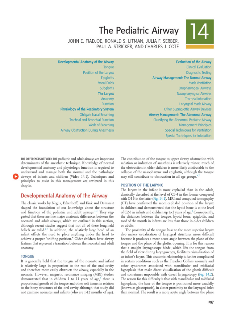 Pediatric Airway Anatomy and Management | PDF | Larynx | Respiratory Tract
