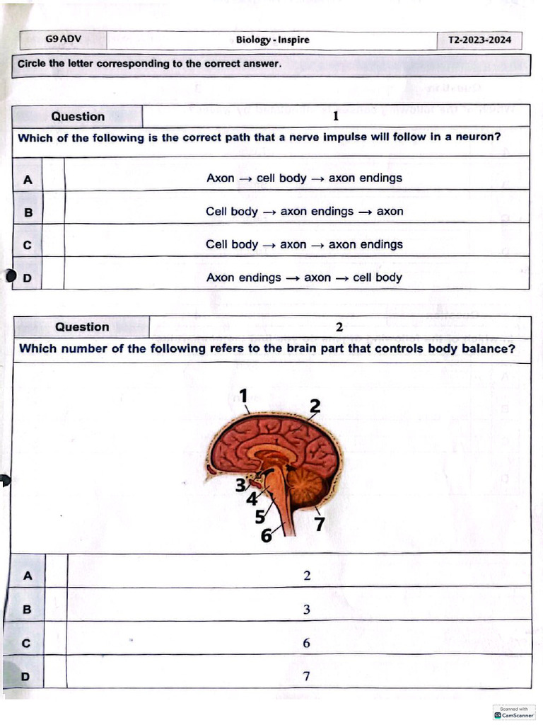 9 Advance Term-2 Exam Paper 2023-24 | PDF
