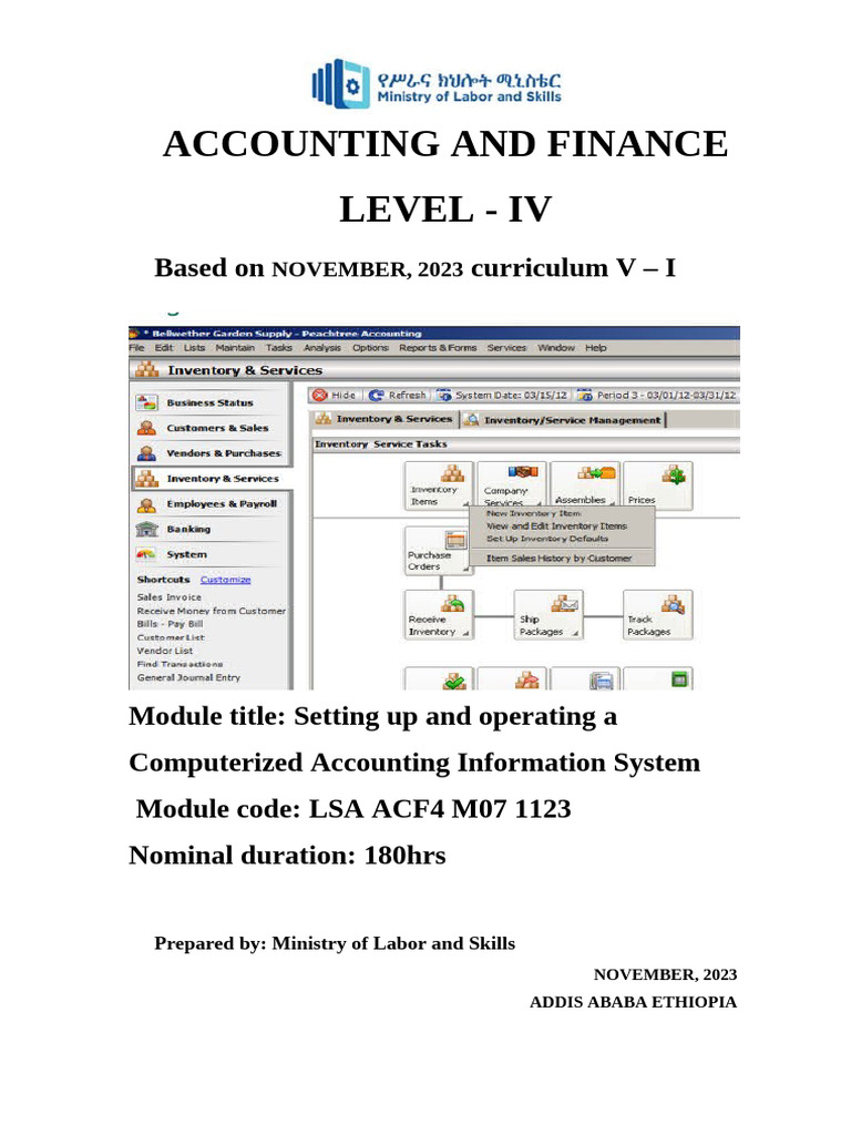 MO-07- Computerized Accounting Information | PDF | Icon (Computing ...