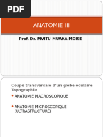 Anatomie de La Sclerotique | PDF | Cornée | Œil humain
