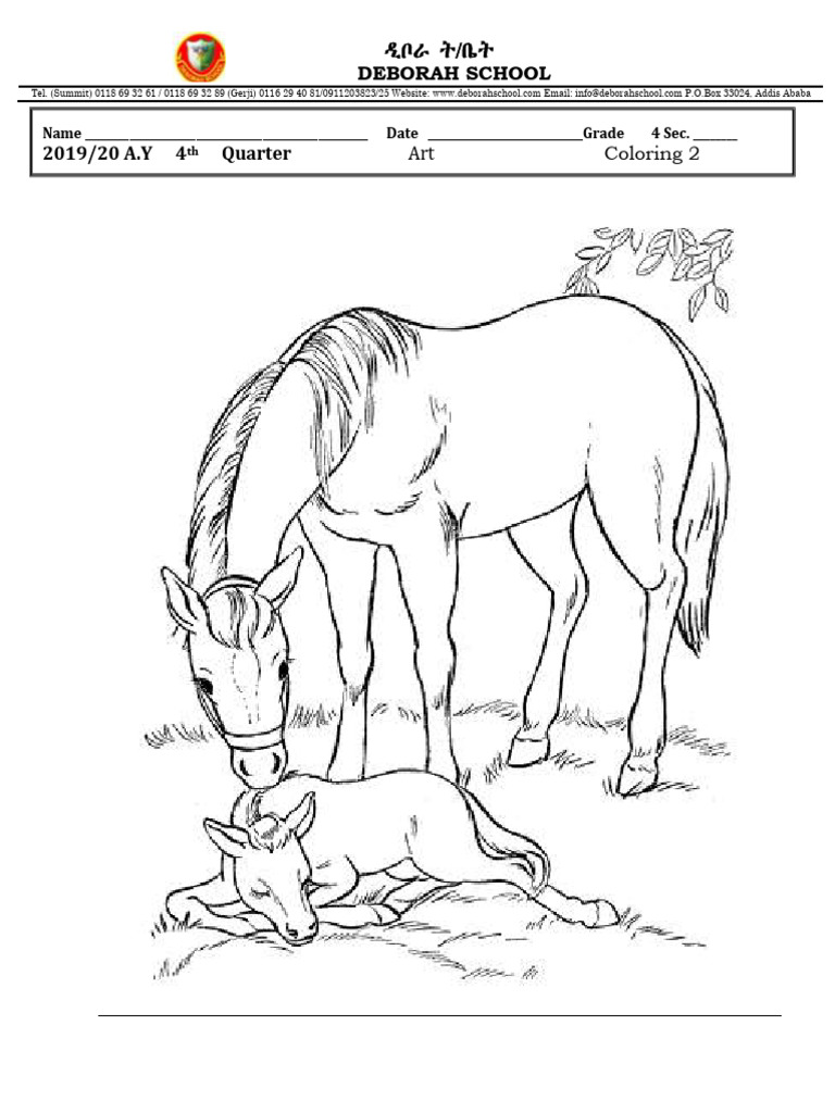 Deborah School Grade 4 Art Coloring Guide | PDF