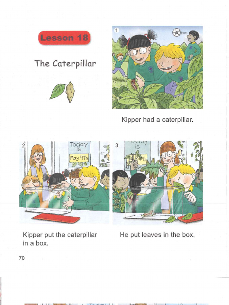 Lesson18 The Caterpillar | PDF