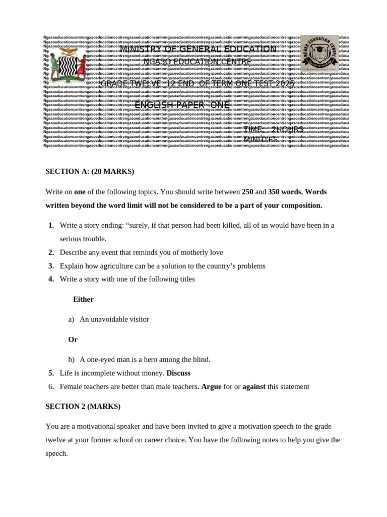 English Paper One Grade 12 2025 | PDF