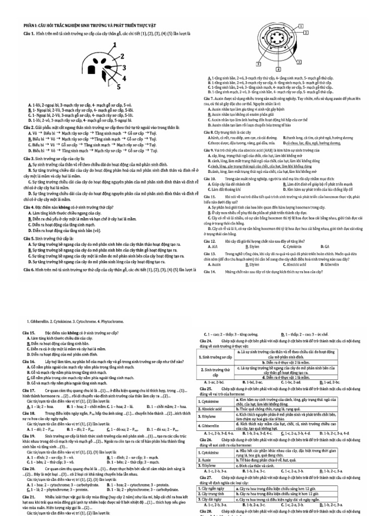 Sinh Truong Va Phat Trien o TV TN2 | PDF