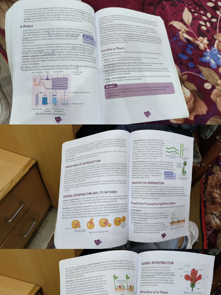 Gallery_20250222_134104_250222_134132_compressed (1) | PDF