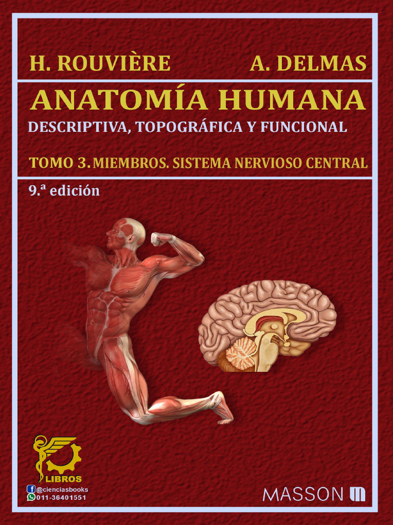 Rouvière Anatomía 9ed T3 | PDF