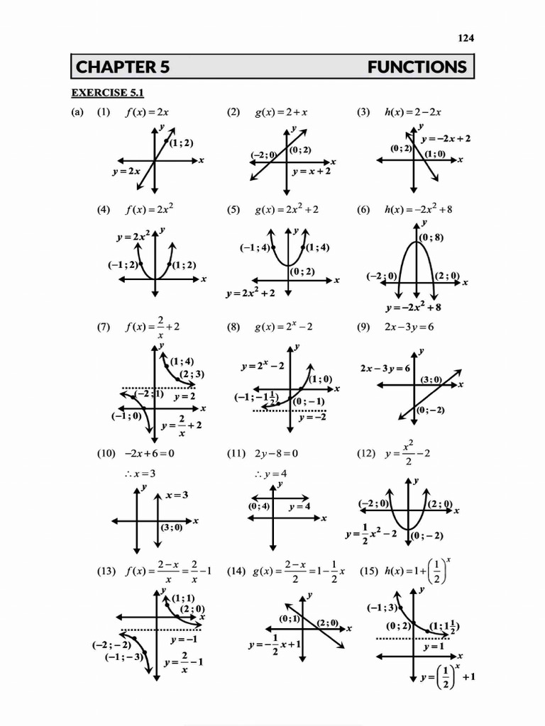 Chapter 5 - Functions -Memorandum | PDF