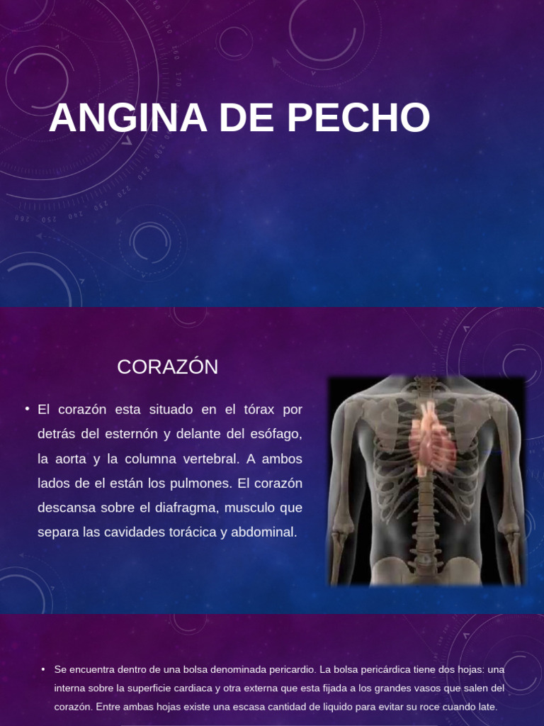 Angina de Pecho | PDF | Corazón | Tórax