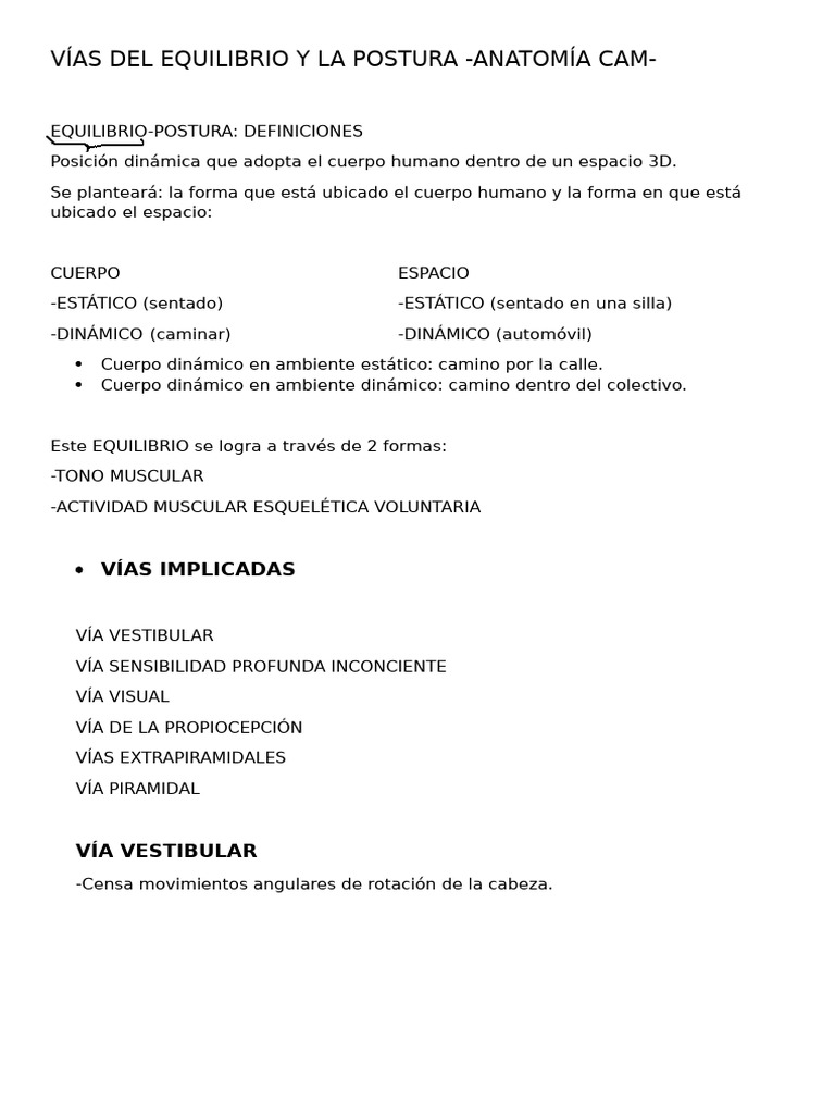 VÍAS DEL EQUILIBRIO Y LA POSTURA | PDF