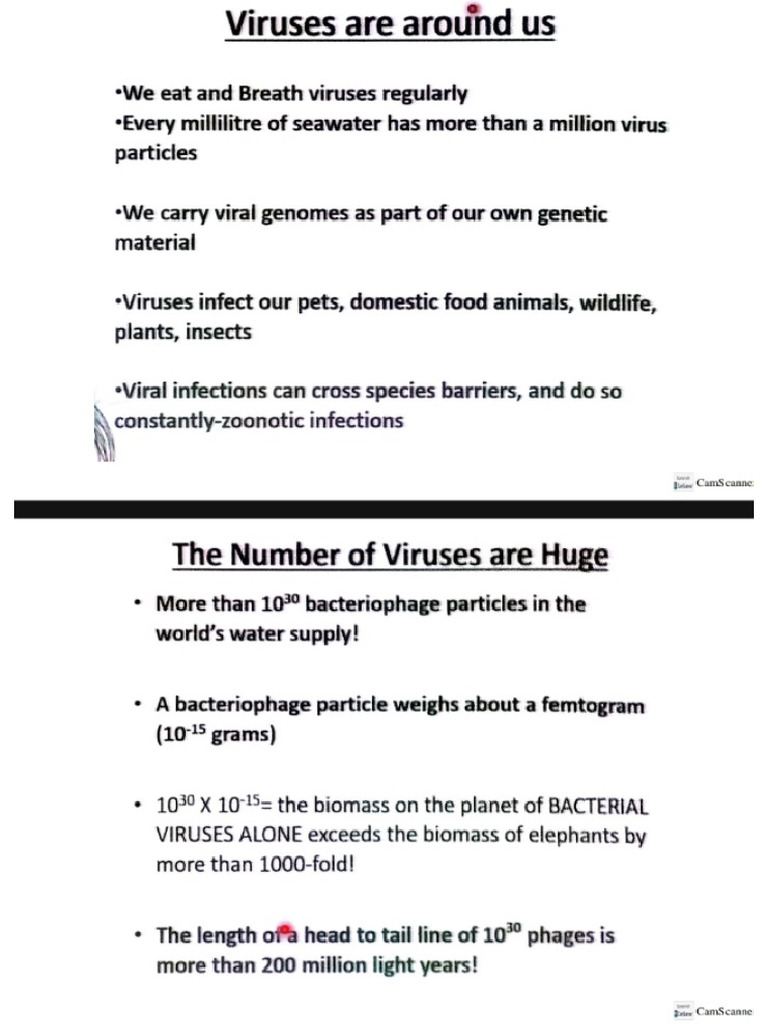 Virology #1 | PDF