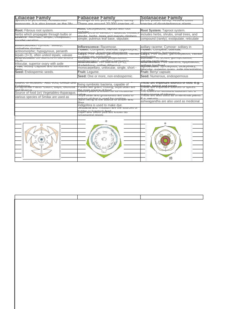 Morphology of Flowering Plant Families | PDF | Leaf | Petal