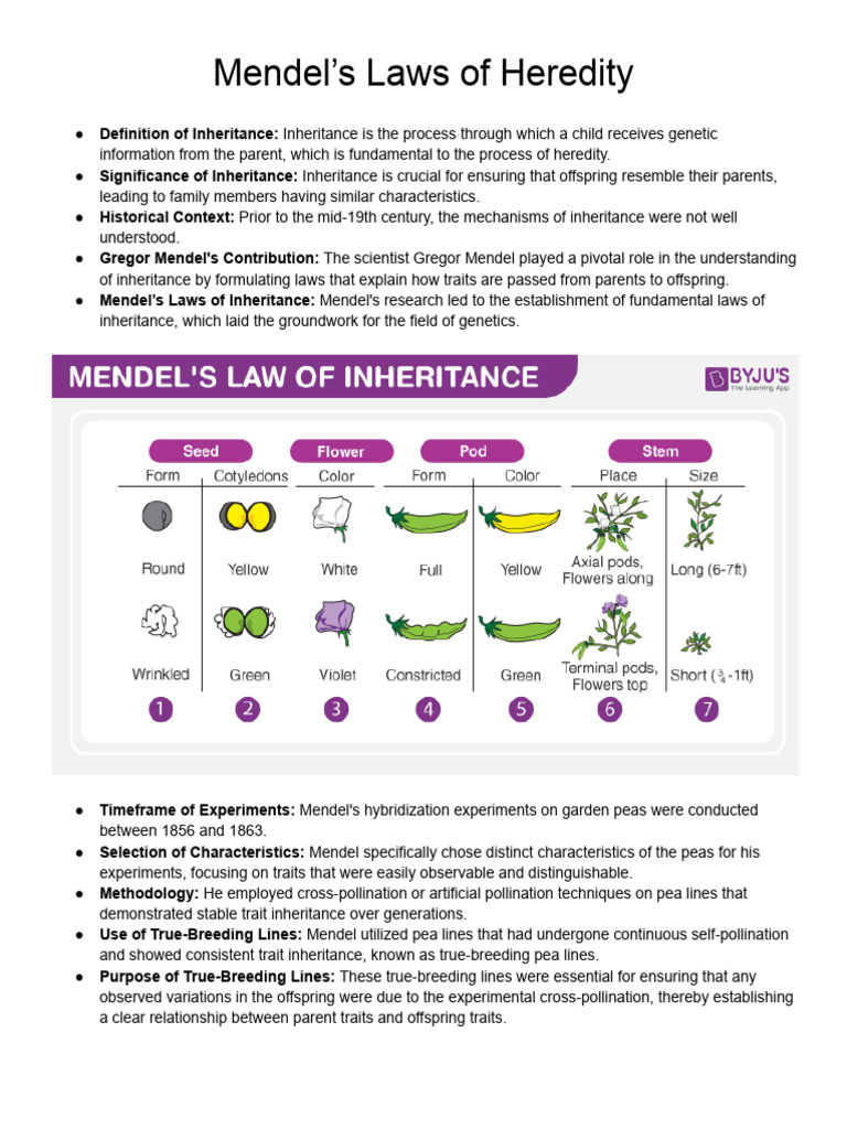 Mendel, Heredity, and Genes | PDF | Dominance (Genetics) | Genotype