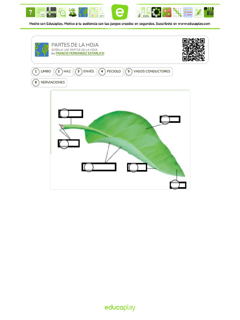 3542451-Partes de La Hoja | PDF