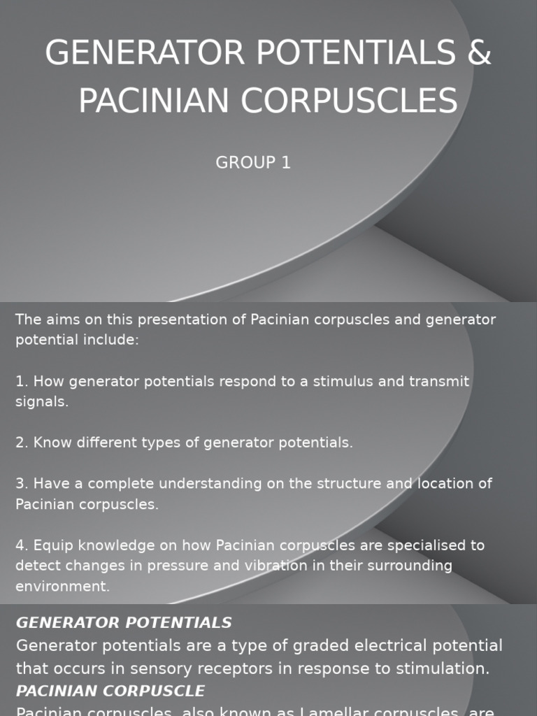 Pgy Presentation Group 1 | PDF | Stimulus (Physiology) | Action Potential