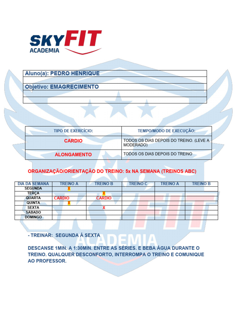 Ficha de Treino Pedro Henrique | PDF