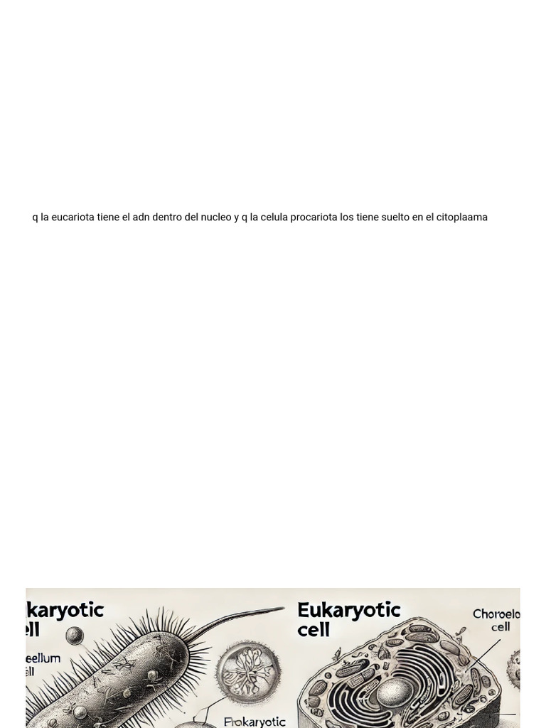 Examen Celula Con Imagenes Final | PDF