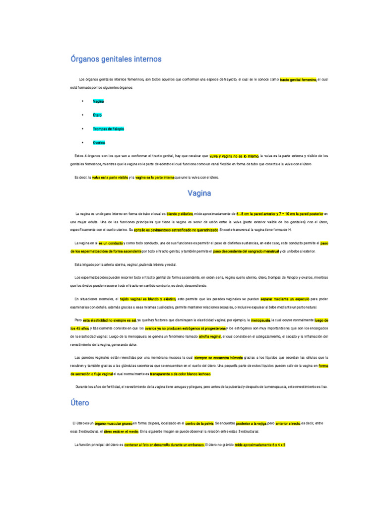 1er Tema - Anatomia de Organos Genitales Internos y Externos | PDF ...