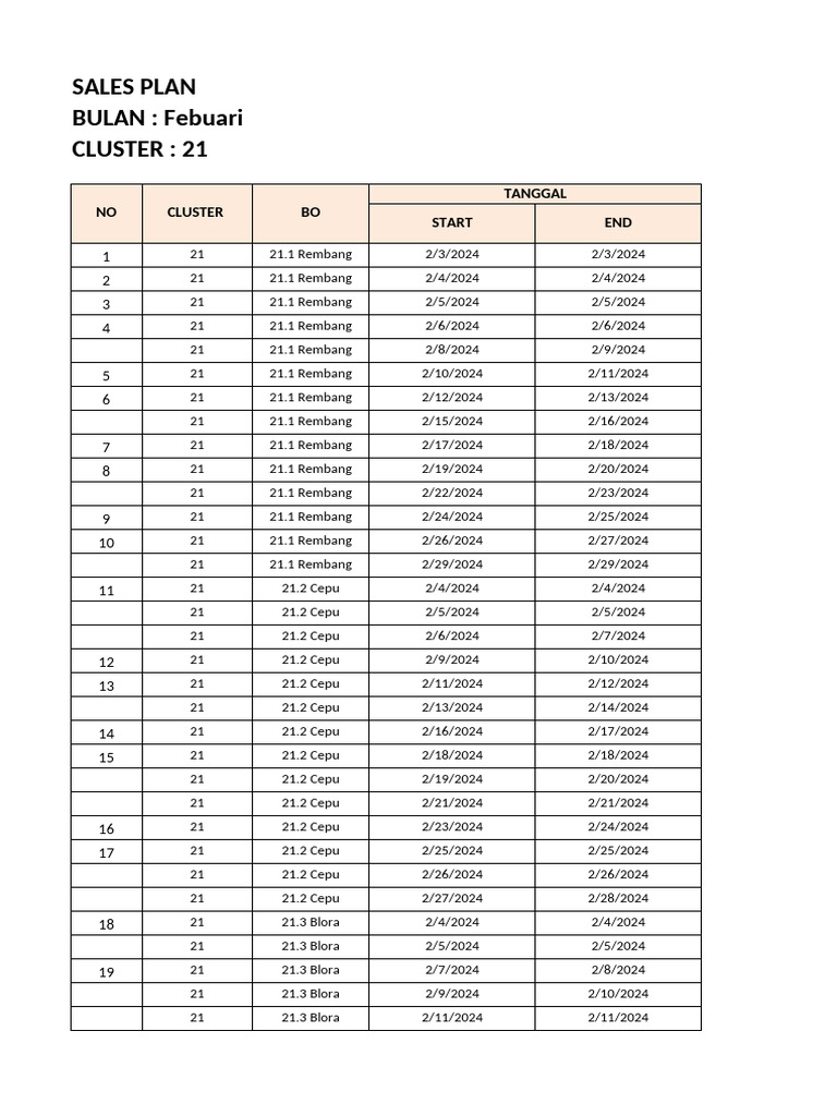 TEMPLATE SALES PLAN CL 21 Febuari 2024 | PDF