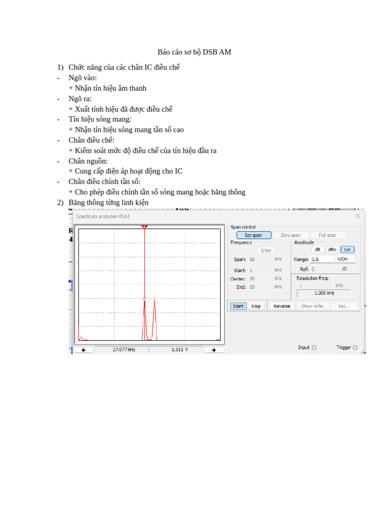 Báo Cáo Sơ B DSB AM | PDF