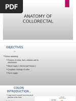 Sigmoid Colon Length and Anatomy | PDF | Large Intestine | Rectum