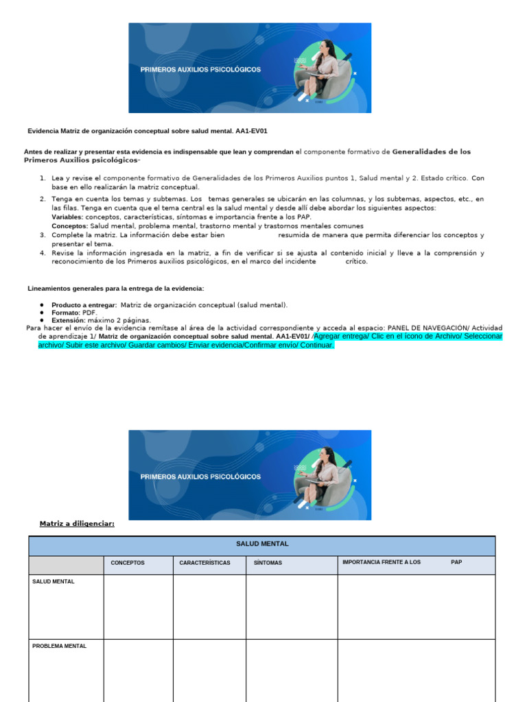 AA1 EV01 Evidencia Matriz de Organización Conceptual Sobre Salud Mental ...