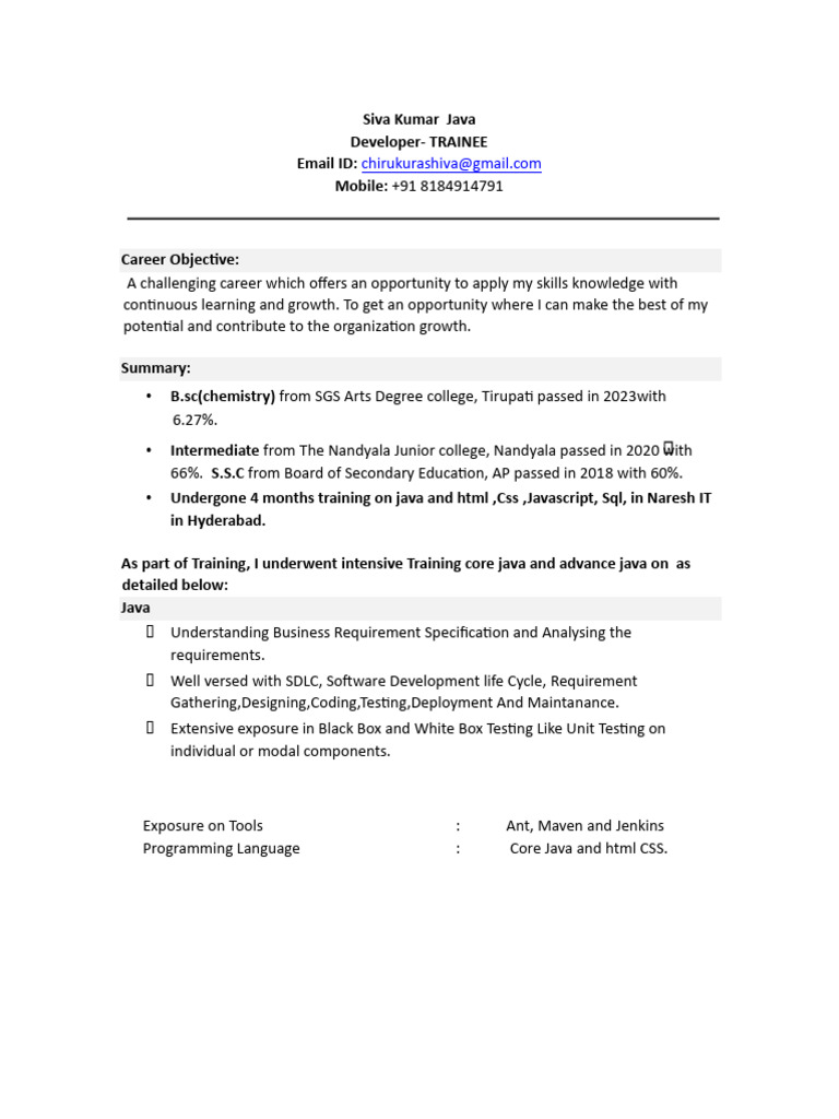 Java Developer Trainee Profile | PDF