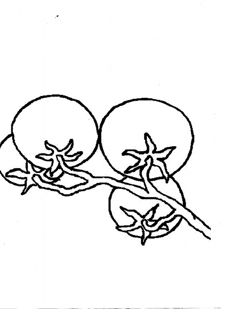 CV Kishimba Wa Kishimba David 20250318 - 02342251 | PDF