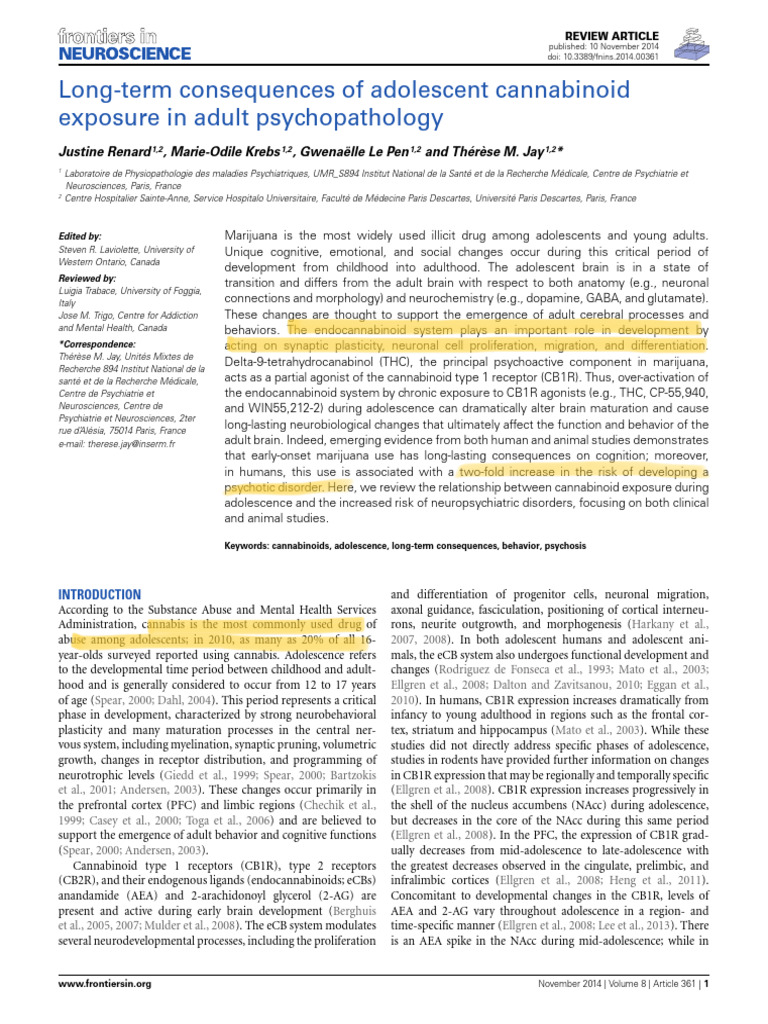 Adolescent THC Use | PDF | Cannabis (Drug) | Frontal Lobe